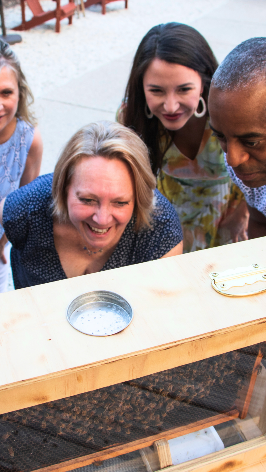 Farm Dinner Series Recap: Summer Honey - North Corner Haven